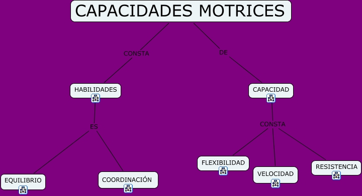 CAPACIDADES MOTRICES